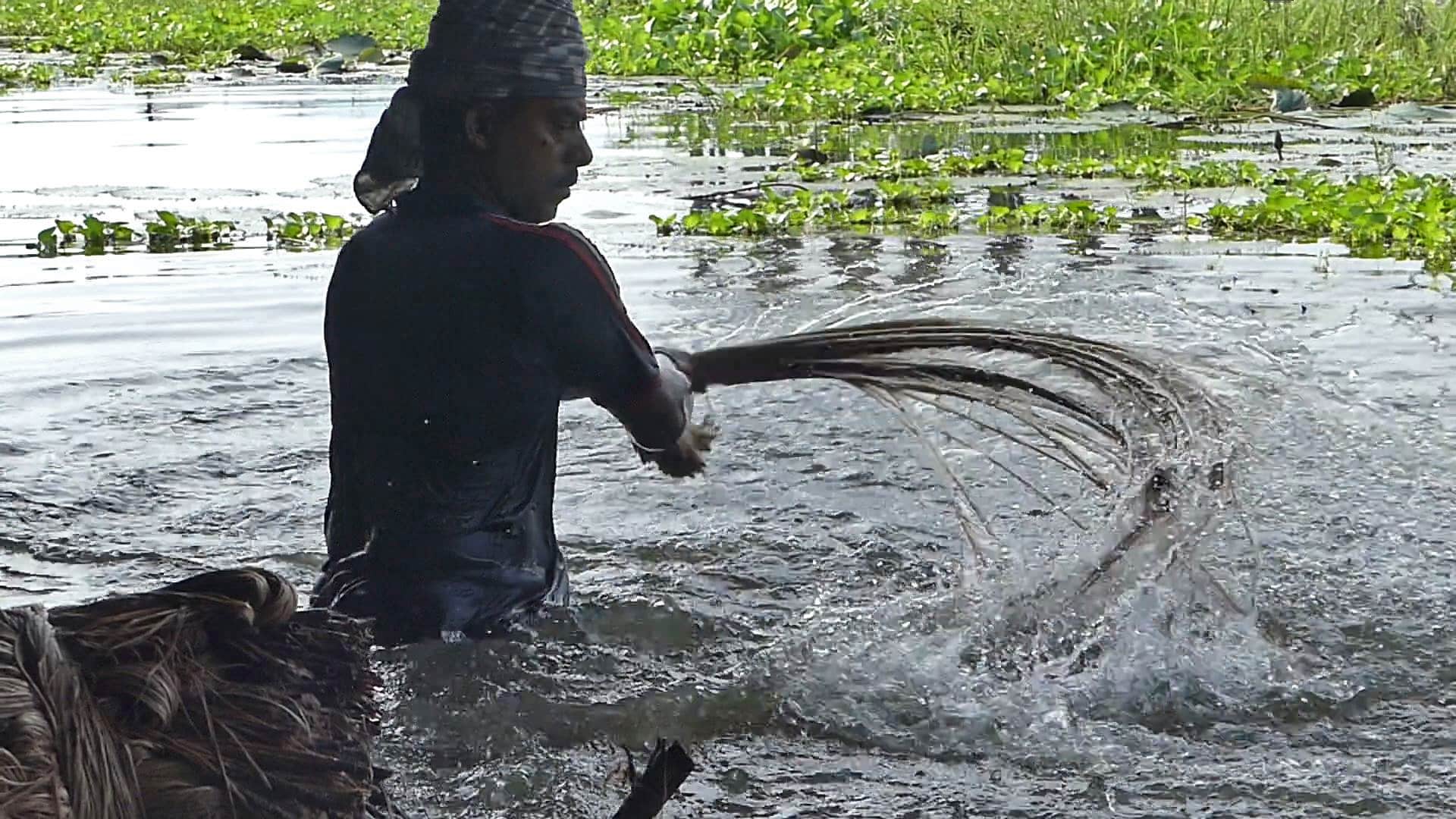Qu'est-ce que le jute ? - Bhallot