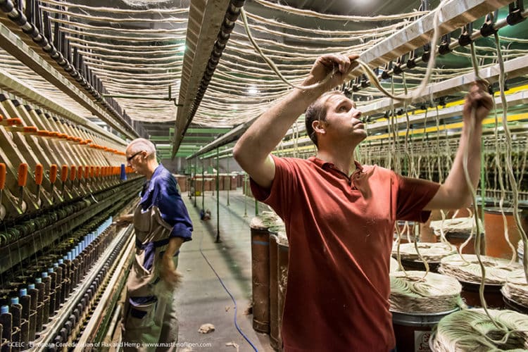 Le lin européen, l'histoire de la graine jusqu'au tissu - Bhallot